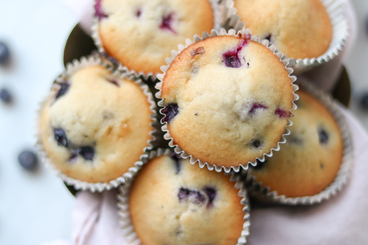 One Bowl Blueberry Muffins - Jenuine Home